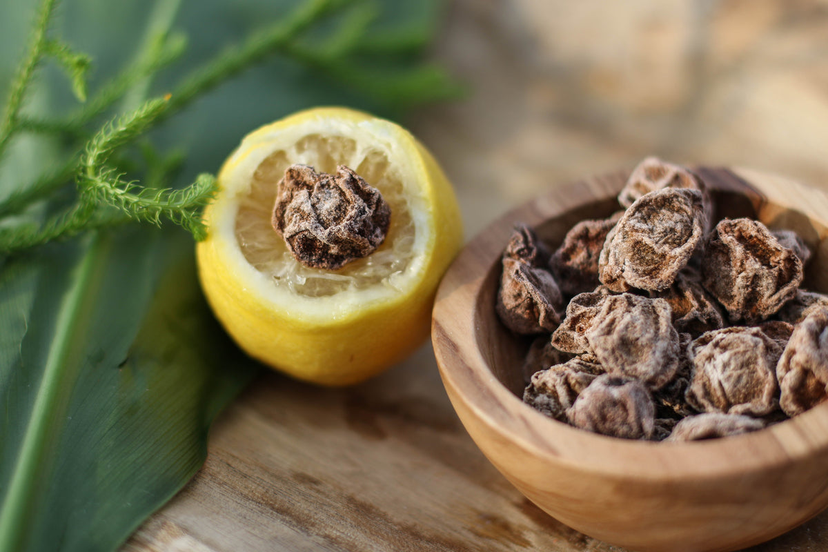 What is Crack Seed in Hawaii? History of Crack Seed