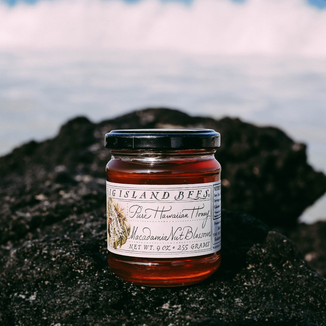 Big Island Bees Macadamia Nut Honey | Gourmet Food | Snack Hawaii